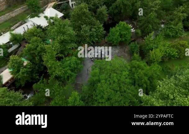 Fully green nature Stock Videos & Footage - HD and 4K Video Clips - Alamy