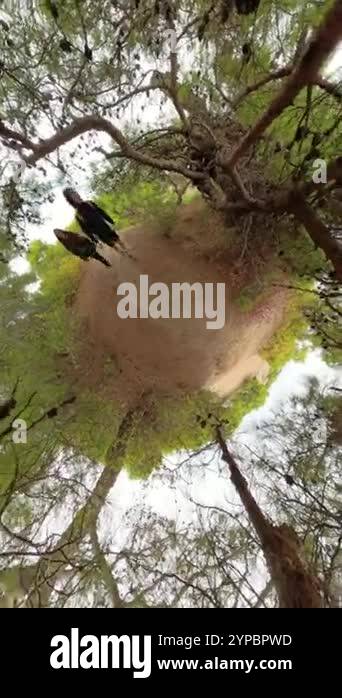 Vertical shot twisting walking Stock Videos & Footage - HD and 4K Video ...