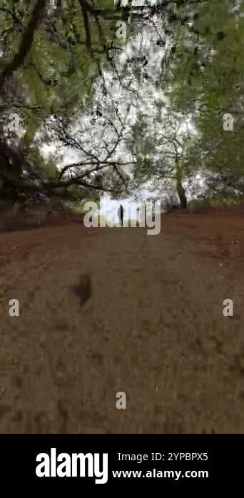 Vertical video. A camera rapidly zooms toward a woman standing on a ...