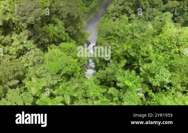 Explore the stunning beauty of a majestic waterfall nestled in Costa ...