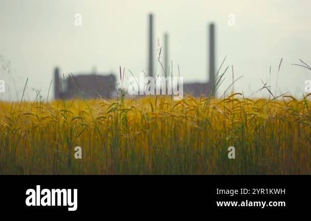 Air pollution from farming Stock Videos & Footage - HD and 4K Video ...