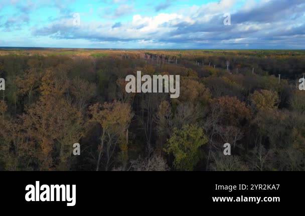 Drone capturing breathtaking scenery of vast woodland in fall season ...