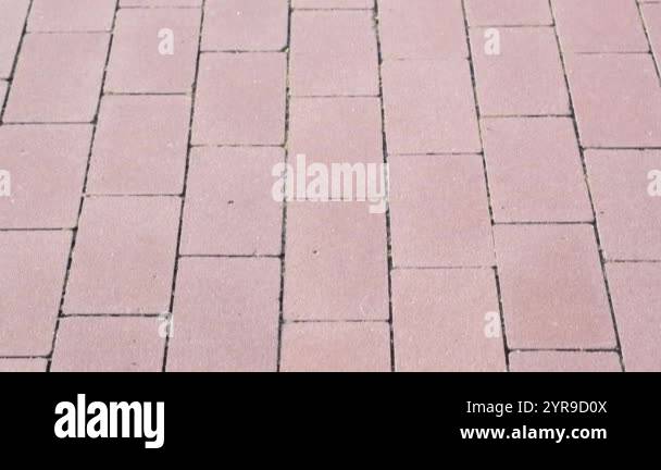 The image shows a closeup of textured pink paving stones arranged in a ...