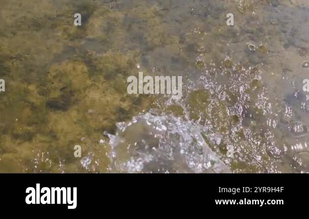 Disturbing plants Stock Videos & Footage - HD and 4K Video Clips - Alamy