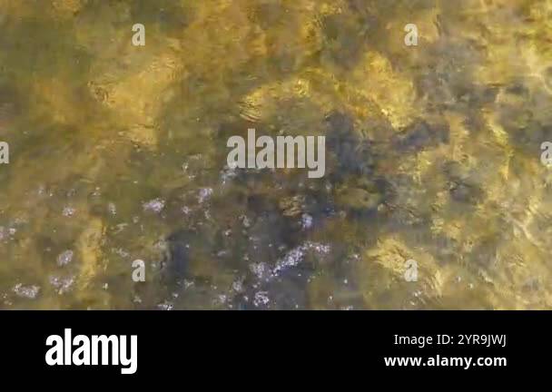 Mesmerizing top view of crystal-clear water with subtle ripples and ...