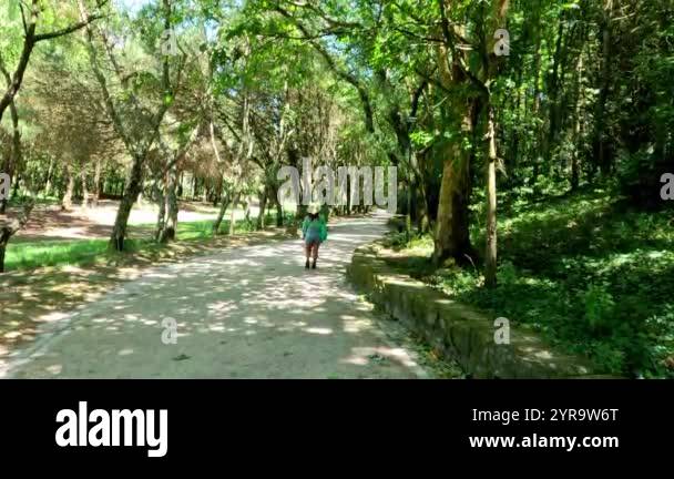 Experience a calming 4K journey as a woman enjoys a serene walk through a peaceful forest ...