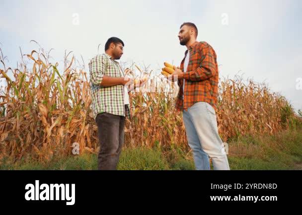Unity in agriculture Stock Videos & Footage - HD and 4K Video Clips - Alamy