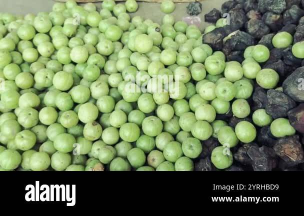 Amla fruit indian gooseberry Stock Videos & Footage - HD and 4K Video ...