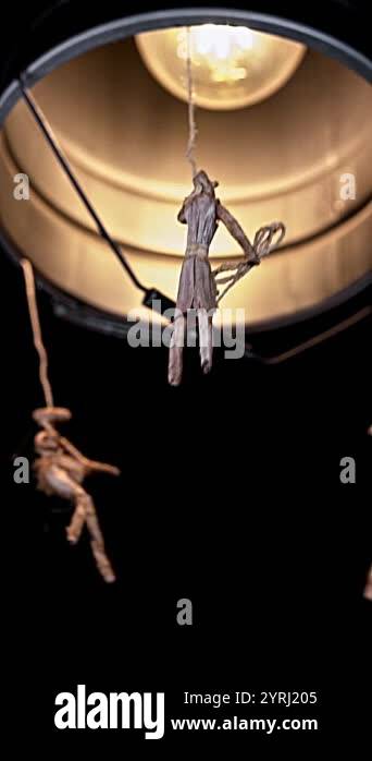 Hanging light figures Stock Videos & Footage - HD and 4K Video Clips ...