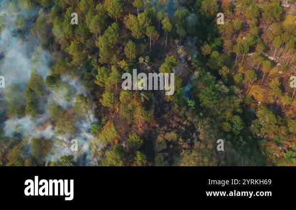 Forest fires india Stock Videos & Footage - HD and 4K Video Clips - Alamy