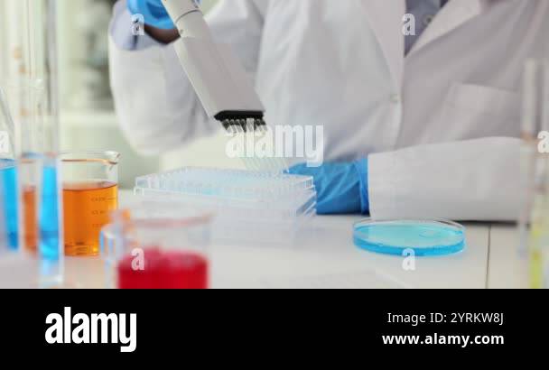 Lab worker uses multichannel pipette to transfer liquid samples into ...