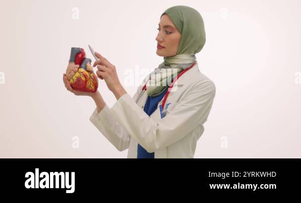 Muslim woman doctor points to different parts of human heart model ...