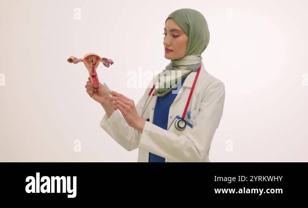 Muslim woman doctor points with pen to different parts of uterus model ...