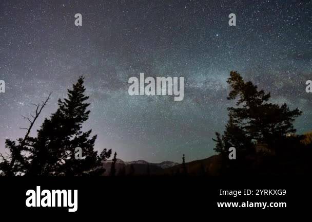 Milky Way galaxy, pine trees silhouette under a clear starry night sky ...