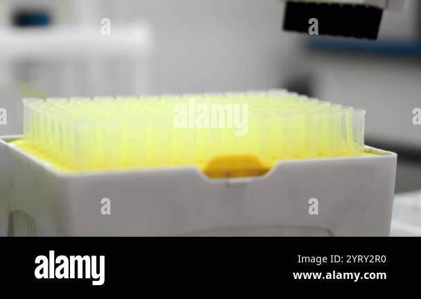 Close-up of putting a replacement pipette tip from a pipette box onto a ...