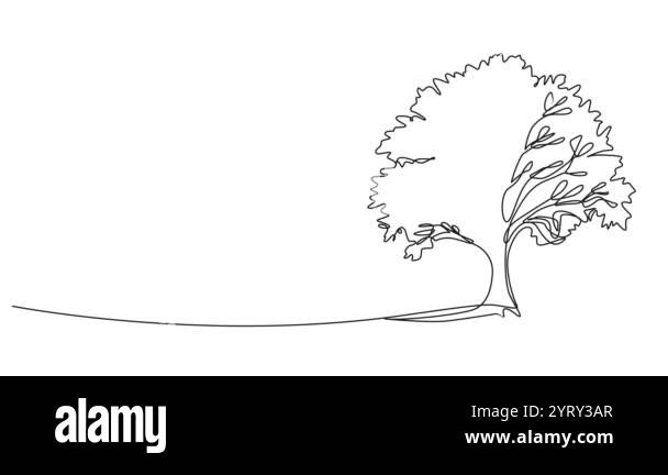 animated continuous single line drawing of broad-leafed tree, line art ...