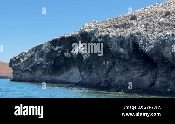 Cliffside texture Stock Videos & Footage - HD and 4K Video Clips - Alamy