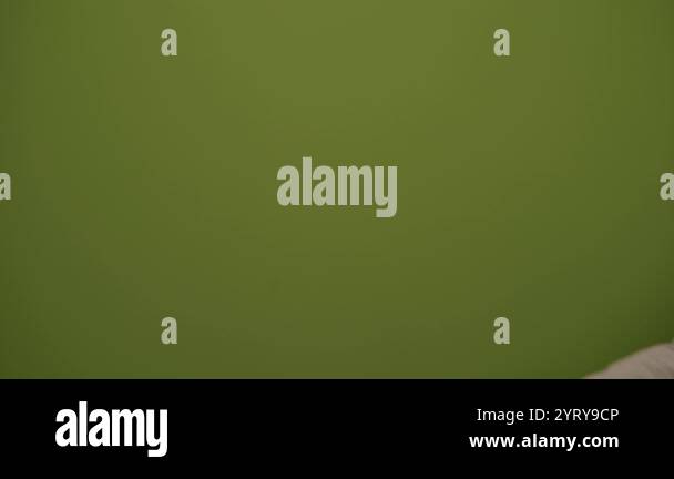 This smooth and subtle green backdrop is perfect for various types of ...