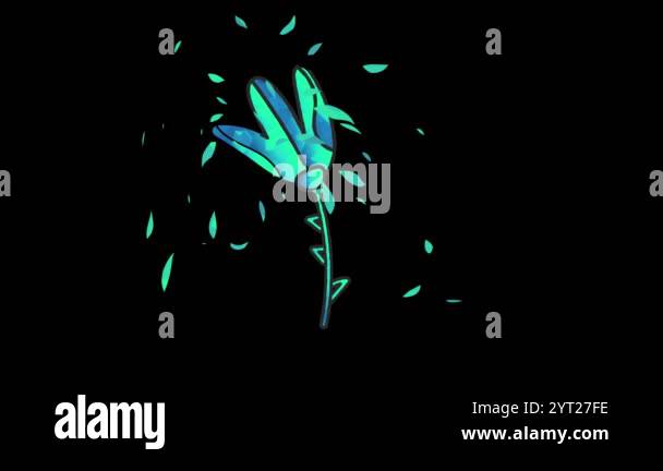 Colorful Flower growth animation concept. Beautiful colorful flower ...