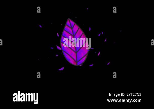 Colorful Flower growth animation concept. Beautiful colorful flower ...