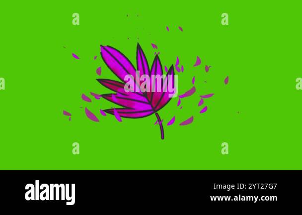 Cartoon flower Elements is a cool-looking motion graphics pack ...