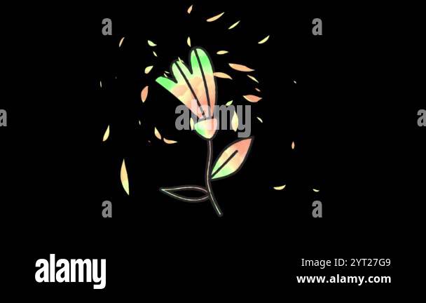 Colorful Flower growth animation concept. Beautiful colorful flower ...