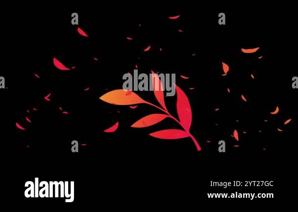 Flower growth animation concept. Beautiful colorful flower like grow ...
