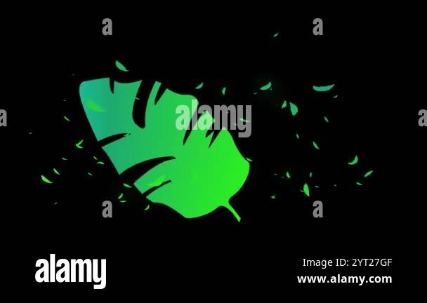 Flower growth animation concept. Beautiful colorful flower like grow ...