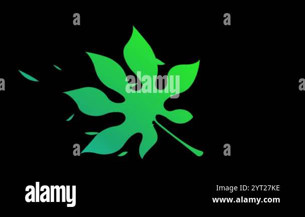 Flower growth animation concept. Beautiful colorful flower like grow ...