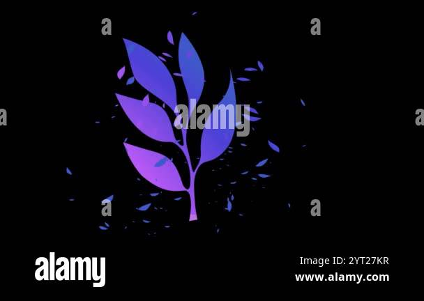 Flower growth animation concept. Beautiful colorful flower like grow ...