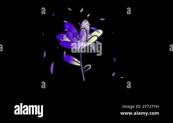 Colorful Flower growth animation concept. Beautiful colorful flower ...