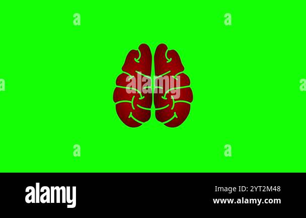 Doctor examining human brain scan screen Stock Videos & Footage - HD ...