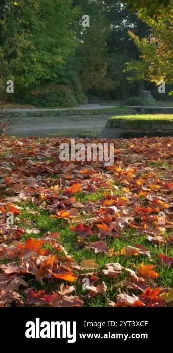 Golden autumn fall in famous Munich relax place - Englishgarten ...