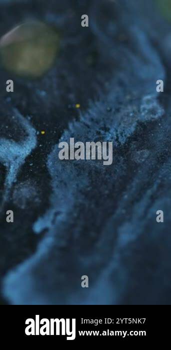 Vertical video. Shimmer liquid flow. Ink drip. Defocused black blue ...