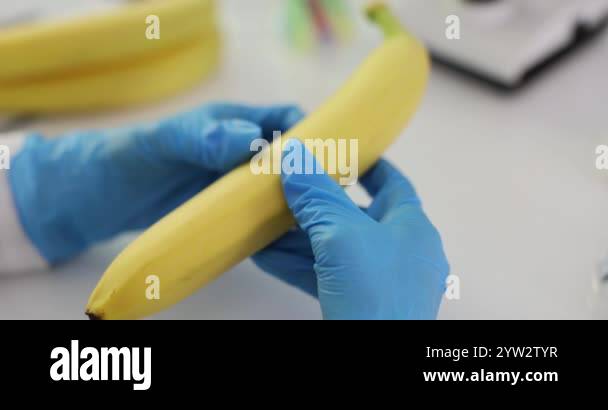 Detailed study on process Stock Videos & Footage - HD and 4K Video ...