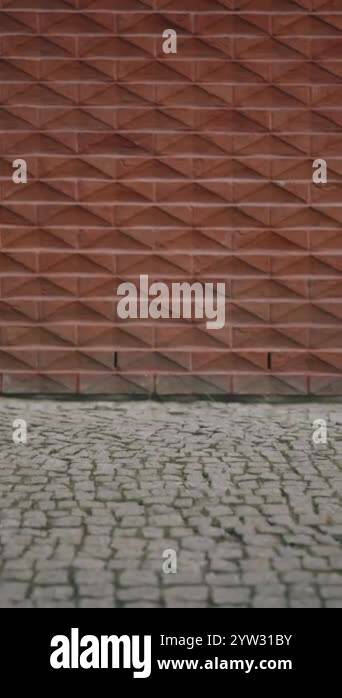 Artistic wall patterns Stock Videos & Footage - HD and 4K Video Clips ...