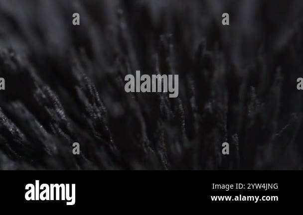 Iron dust spikes. Reaction of iron filings to a magnetic field ...