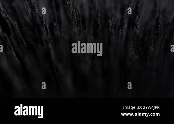 Iron dust spikes. Reaction of iron filings to a magnetic field ...