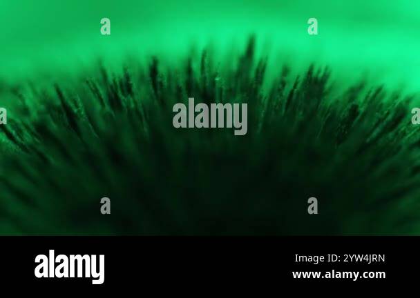 Iron dust spikes in green colour. Reaction of iron filings to a ...