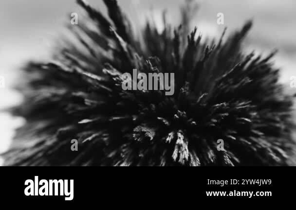 Iron dust spikes. Reaction of iron filings to a magnetic field ...