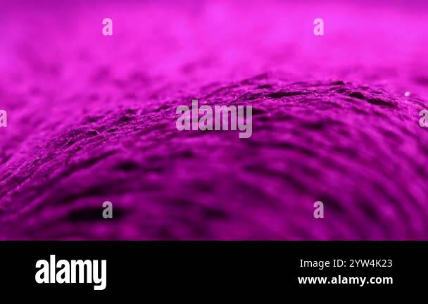 Iron dust spikes in pink colour. Reaction of iron filings to a magnetic ...