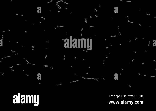 Microscopic Amoeba and Bacteria Motion Graphics. Microbiology ...