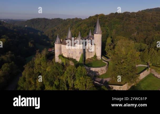 Medieval family trees Stock Videos & Footage - HD and 4K Video Clips ...