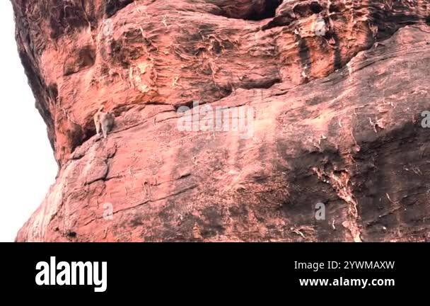 Stiff texture Stock Videos & Footage - HD and 4K Video Clips - Alamy