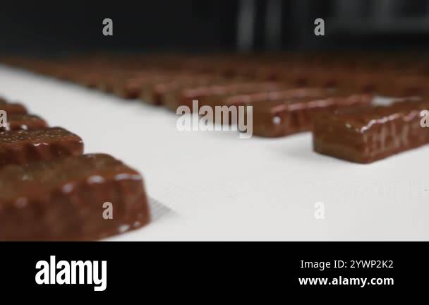 Conveyor belt in a chocolate factory. Candy production. Chocolate ...