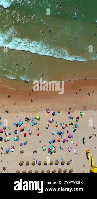 Aerial vertical footage crowded sandy beach filled with people enjoying ...