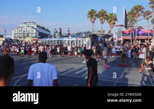 Crowd of trees Stock Videos & Footage - HD and 4K Video Clips - Alamy