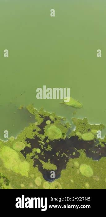 Tropical wetlands, water courses and swampforest on Agusan Marsh ...