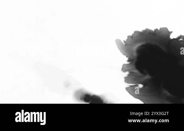 Transitions of black expanding paint stains on white backdrop Grunge ...