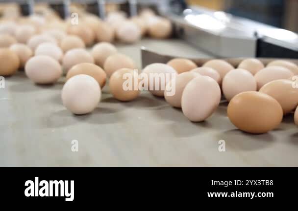 Roll factory hi Stock Videos & Footage - HD and 4K Video Clips - Alamy